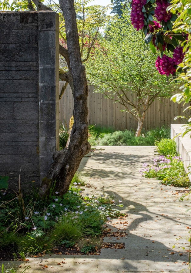 Balaclava Street - CYAN