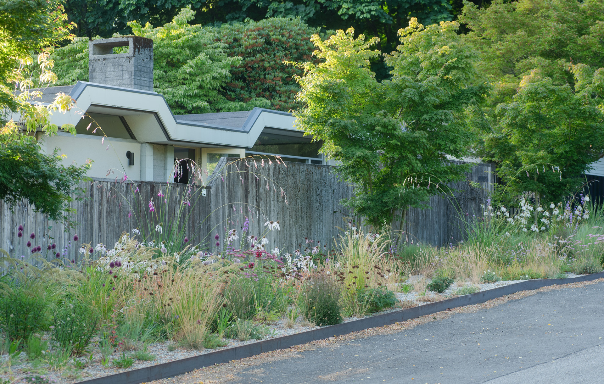 Balaclava Street - CYAN