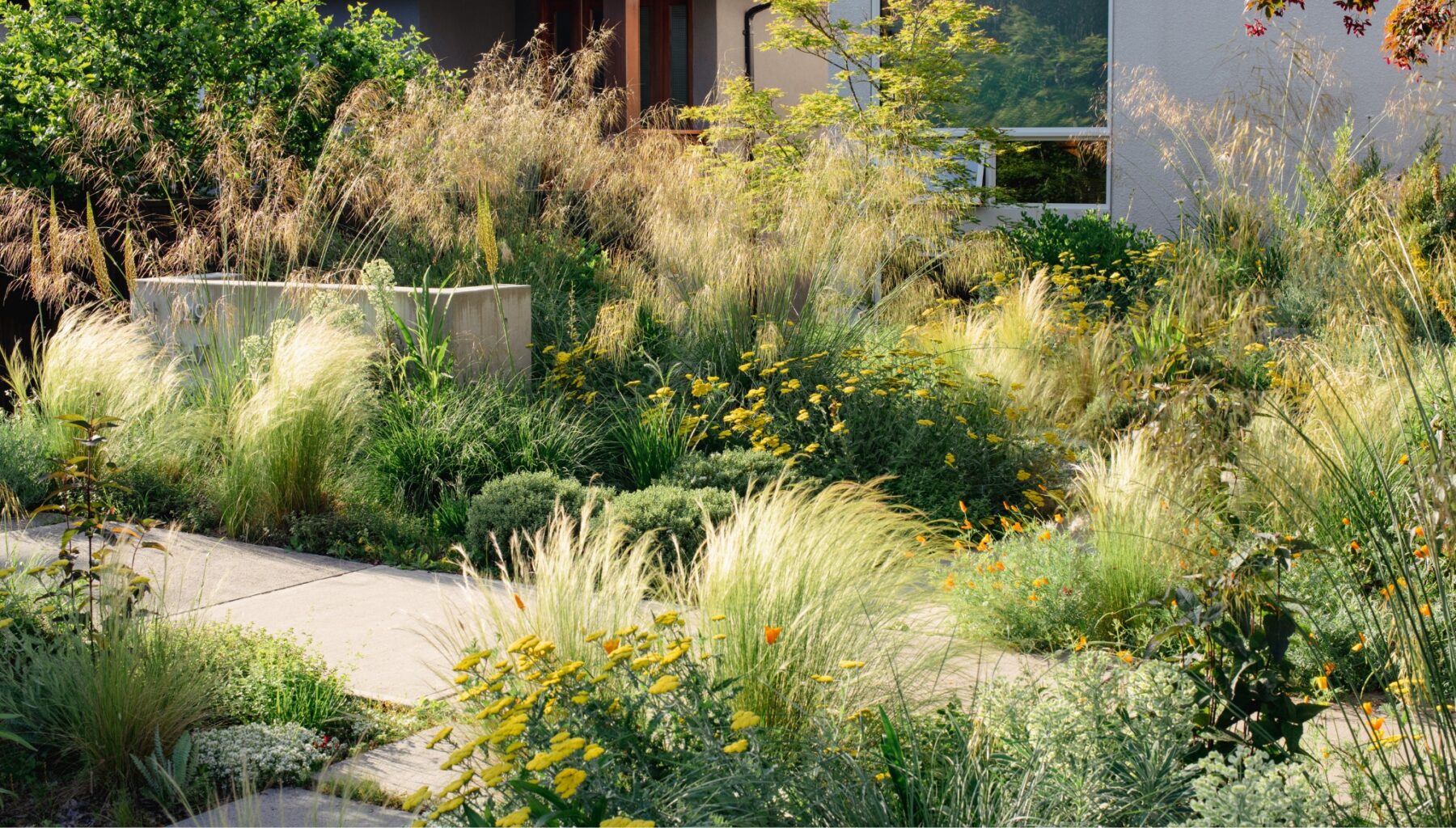 St George Street - CYAN